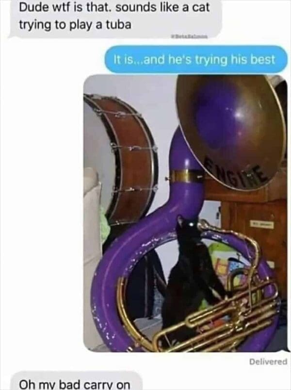 Music Memes: 35 Memes That Hit All the Right Notes