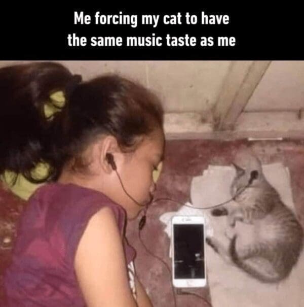 Music Memes: 35 Memes That Hit All the Right Notes