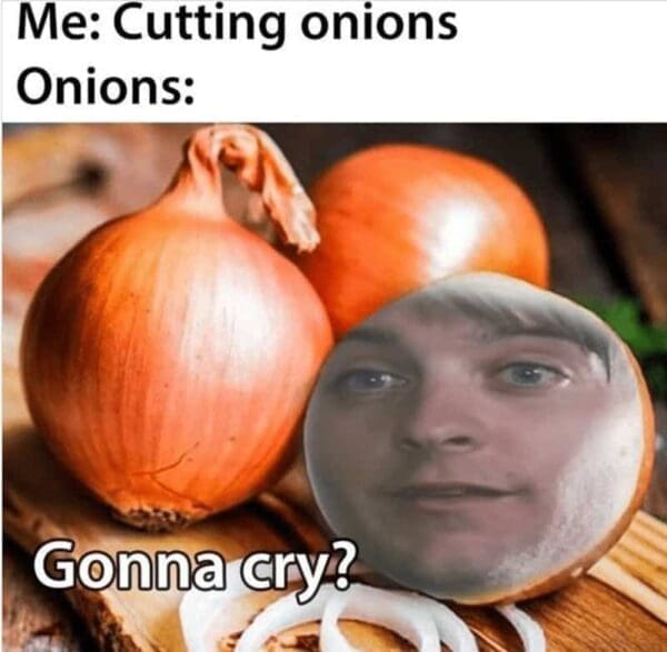 29 Onion Memes to Make You Tear Up (in a Good Way)