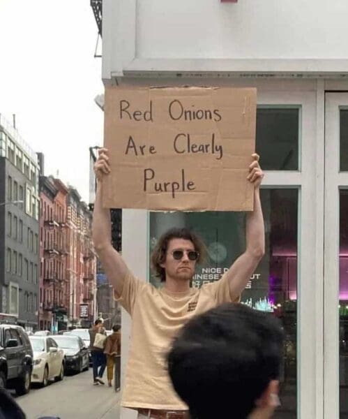29 Onion Memes to Make You Tear Up (in a Good Way)