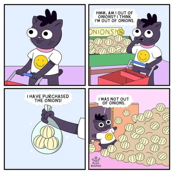 29 Onion Memes to Make You Tear Up (in a Good Way)