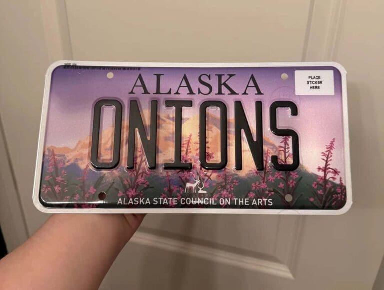 29 Onion Memes to Make You Tear Up (in a Good Way)