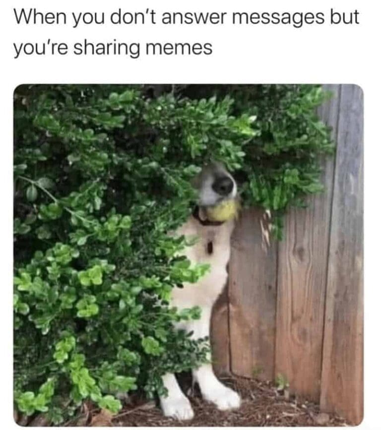Positive Thinking Memes: 32 Gems To Boost Your Mood
