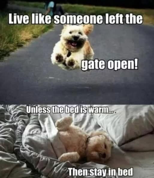 Positive Thinking Memes: 32 Gems To Boost Your Mood