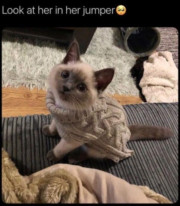 Positive Thinking Memes: 32 Gems To Boost Your Mood