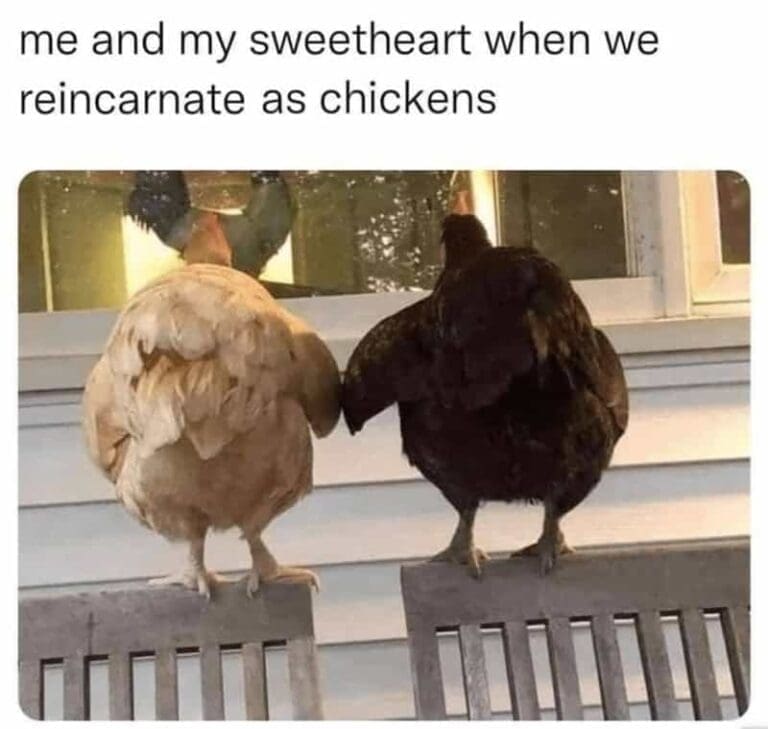 Positive Thinking Memes: 32 Gems To Boost Your Mood