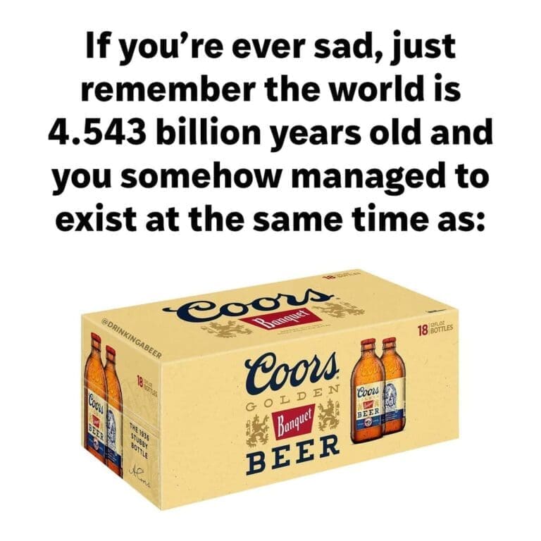 39 Funny Beer Memes That'll Leave You Buzzing for More