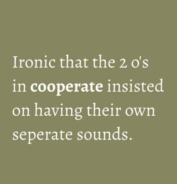 Clever Wordplay: 50 Memes to Delight Your Inner Linguist
