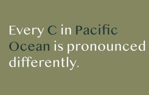 Clever Wordplay: 50 Memes to Delight Your Inner Linguist