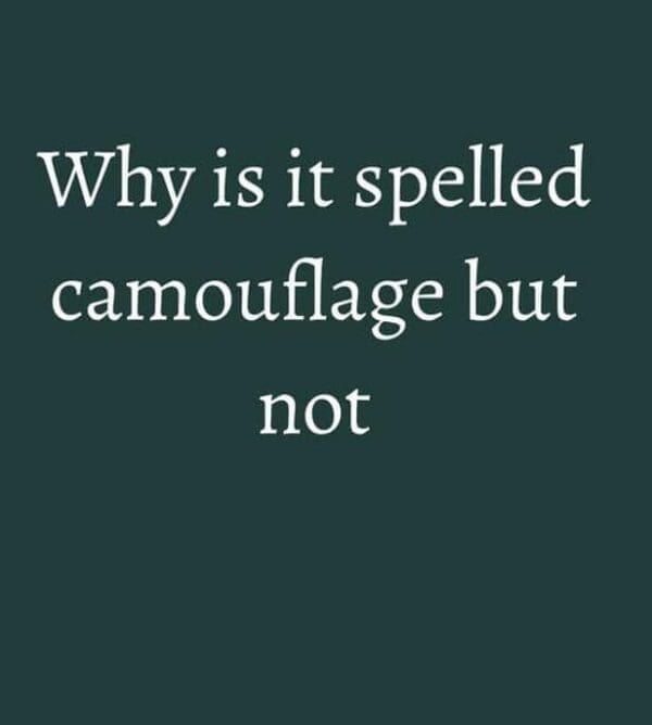Clever Wordplay: 50 Memes to Delight Your Inner Linguist