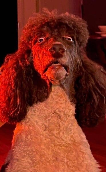 Cursed Images: 35 Pics To Haunt Your Internet Browsing