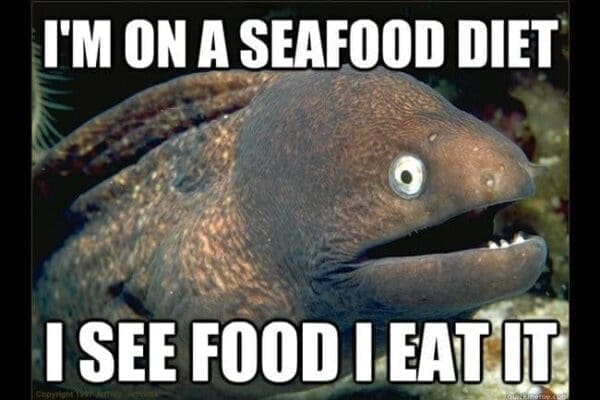 35 Fin-tastic Fish Memes Guaranteed To Reel You In