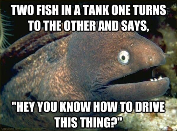 35 Fin-tastic Fish Memes Guaranteed To Reel You In