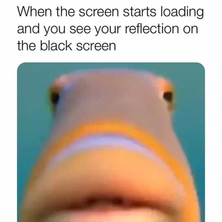 35 Fin-tastic Fish Memes Guaranteed To Reel You In