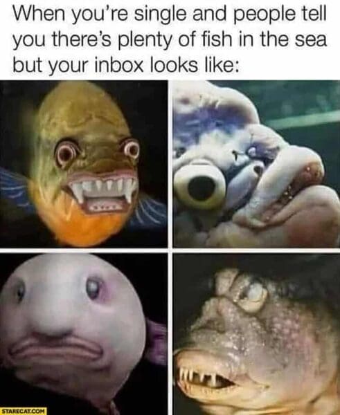 35 Fin-tastic Fish Memes Guaranteed To Reel You In