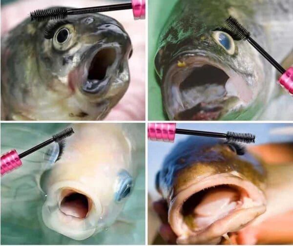 35 Fin-tastic Fish Memes Guaranteed To Reel You In