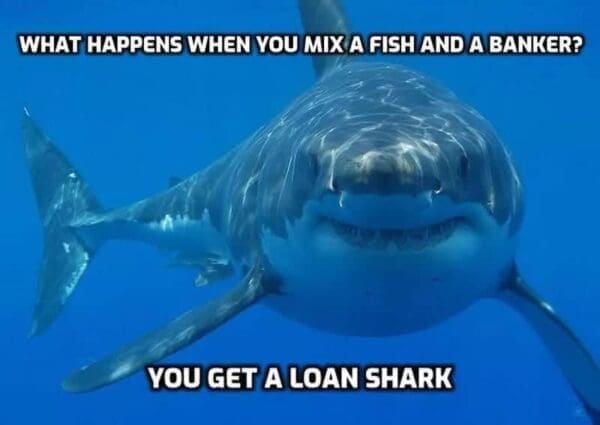 35 Fin-tastic Fish Memes Guaranteed To Reel You In