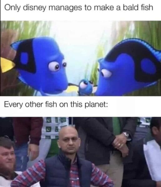 35 Fin-tastic Fish Memes Guaranteed To Reel You In