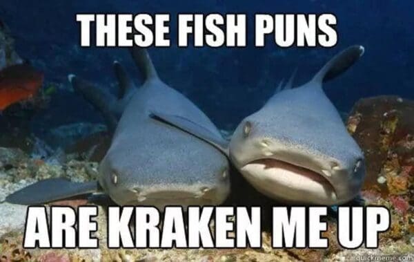 35 Fin-tastic Fish Memes Guaranteed To Reel You In