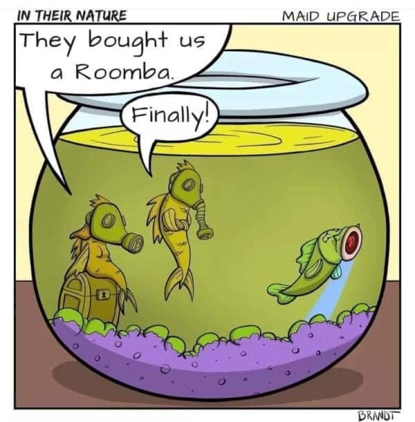 35 Fin-tastic Fish Memes Guaranteed To Reel You In