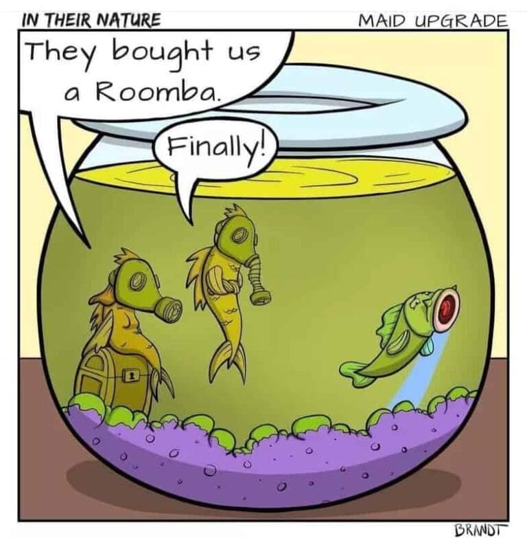 35 Fin-tastic Fish Memes Guaranteed To Reel You In