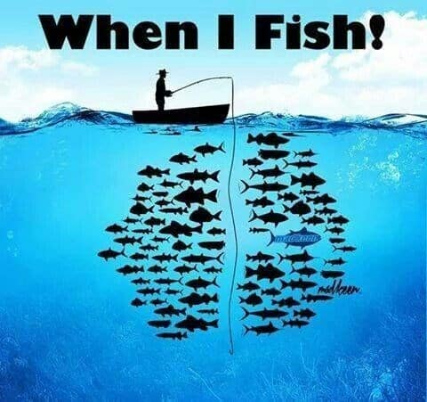 35 Fin-tastic Fish Memes Guaranteed To Reel You In