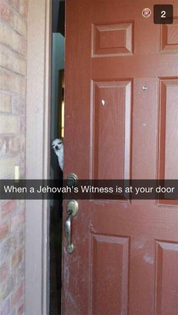 46 Funniest Snapchats That Prove Chaos Loves a Temporary Photo