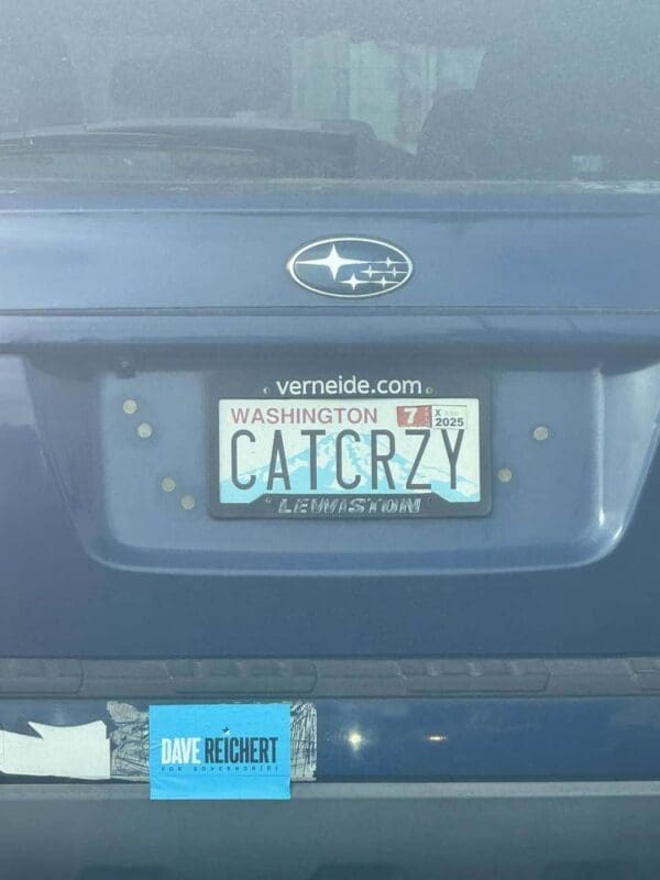 45 Funny Personalized License Plates You Wish You’d Thought Of
