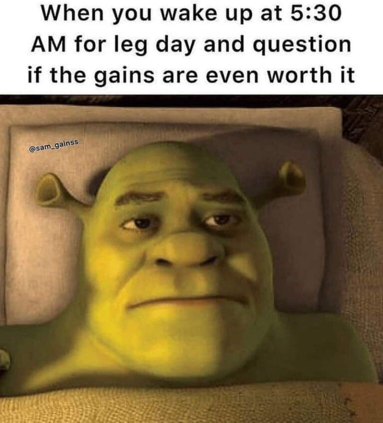 Gym Memes: 30 Workout Memes For The Exercise Struggle