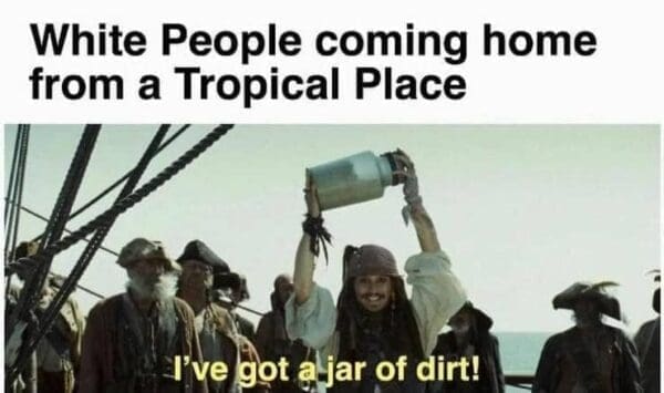 Jack Sparrow Memes: 37 Funny Memes Featuring the Captain