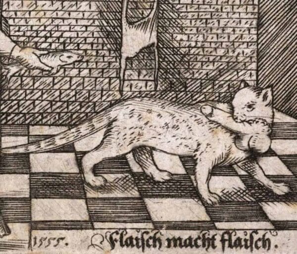44 Funny Medieval Cat Paintings Where Artists Completely Forgot What ...