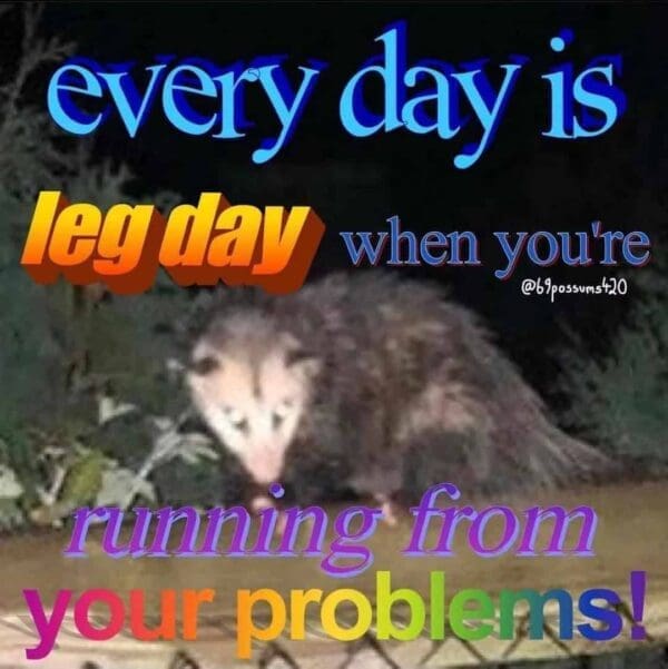 44 Opossum Memes Overflowing with Chaos, Trash, and Pure Joy