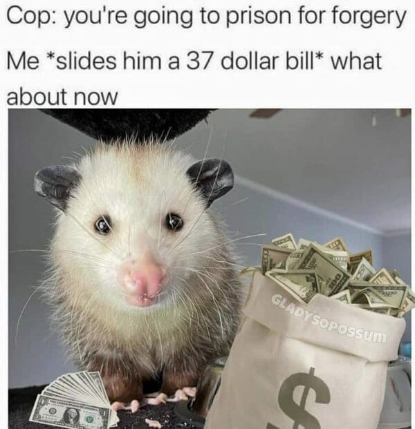 44 Opossum Memes Overflowing with Chaos, Trash, and Pure Joy