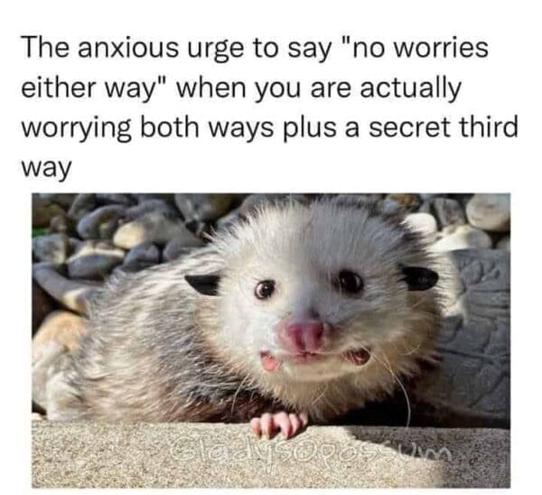 44 Opossum Memes Overflowing with Chaos, Trash, and Pure Joy