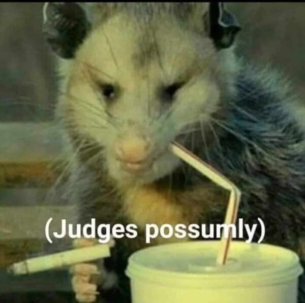 44 Opossum Memes Overflowing with Chaos, Trash, and Pure Joy
