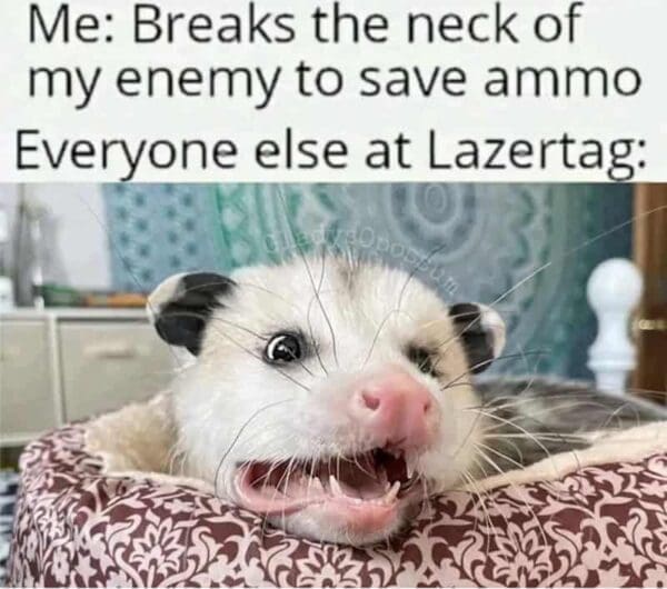 44 Opossum Memes Overflowing with Chaos, Trash, and Pure Joy
