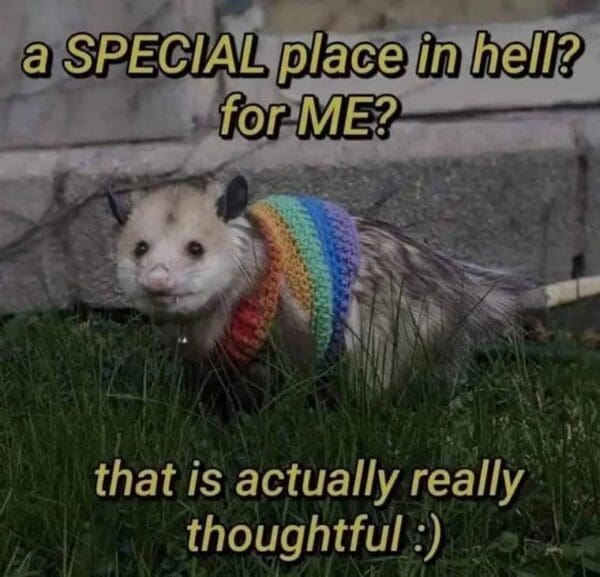 44 Opossum Memes Overflowing with Chaos, Trash, and Pure Joy