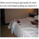 44 Sarcastic Memes Proving There’s No Such Thing as Too Much Snark