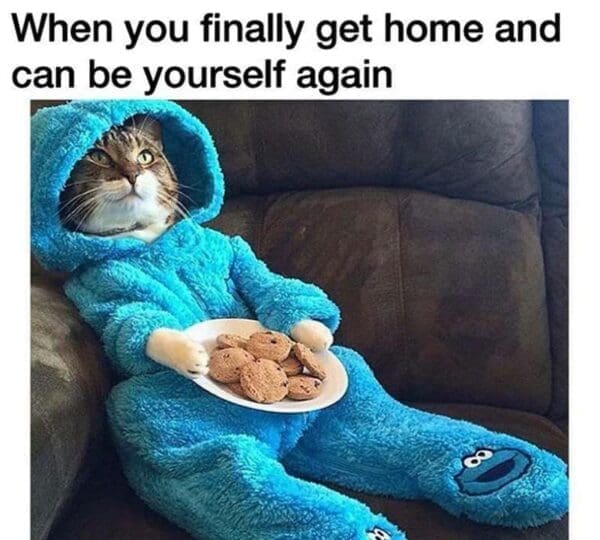 30 Single Memes That Are Better Than Any Date You've Had Recently