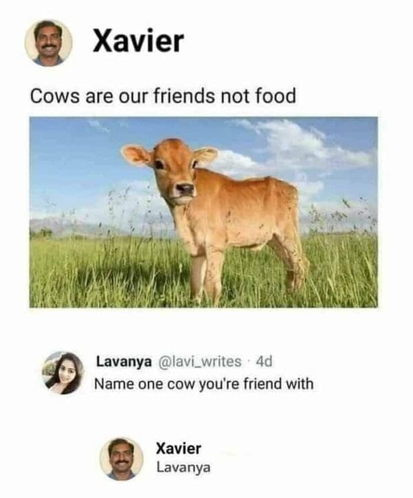 Xavier Memes: 39 Comebacks From The King of The Internet
