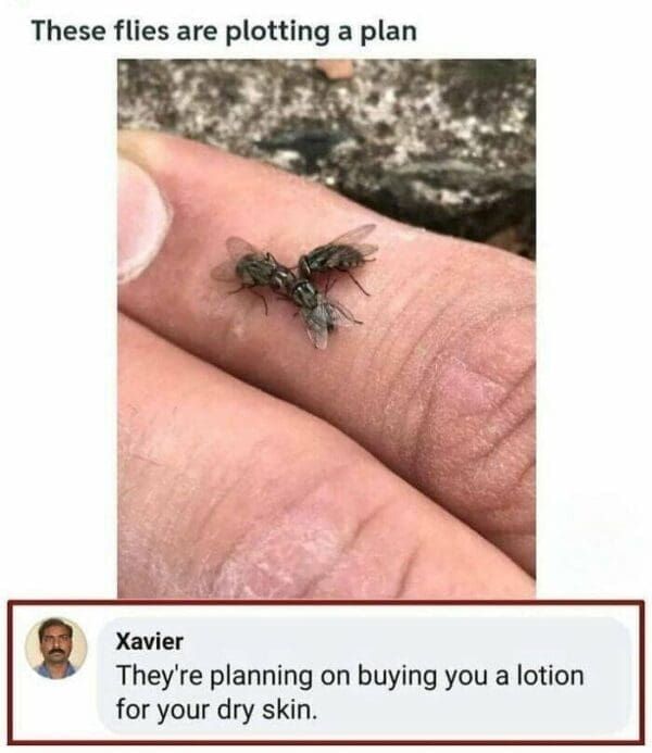 Xavier Memes: 39 Comebacks From The King of The Internet