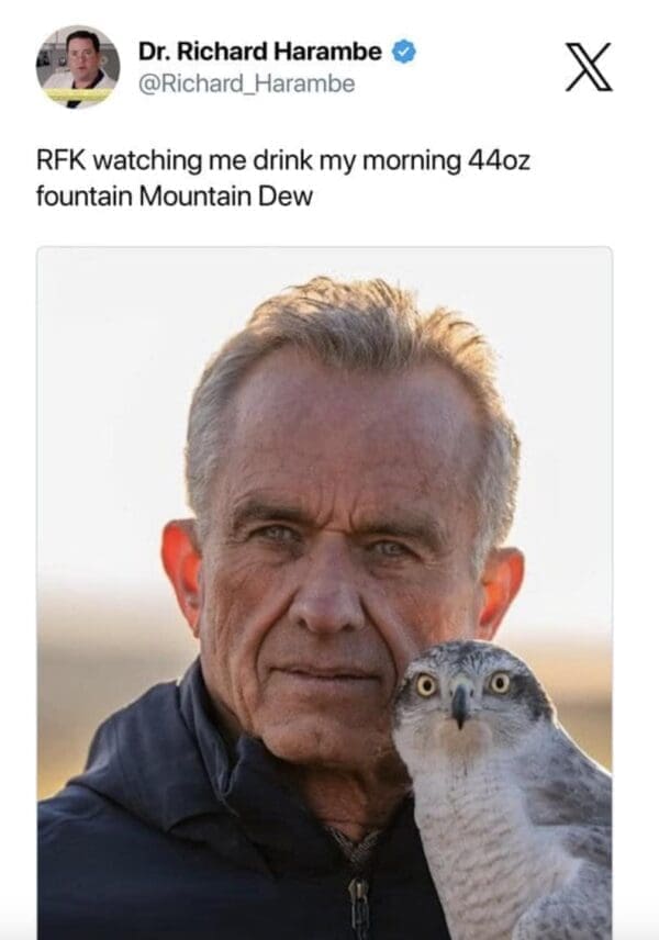 RFK Jr Memes: There's Never A Bad Time For a Meme Checkup