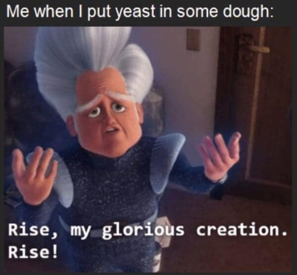 Baking Memes: 25 Memes That Smell Like Burnt Hope and Butter