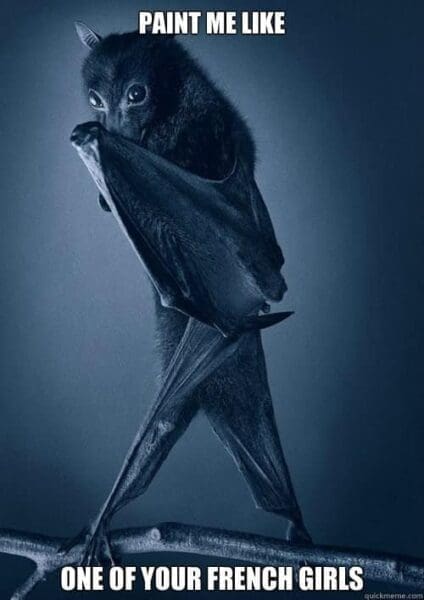 30 Bat Memes Celebrating the Cutest Nightmares in the Sky
