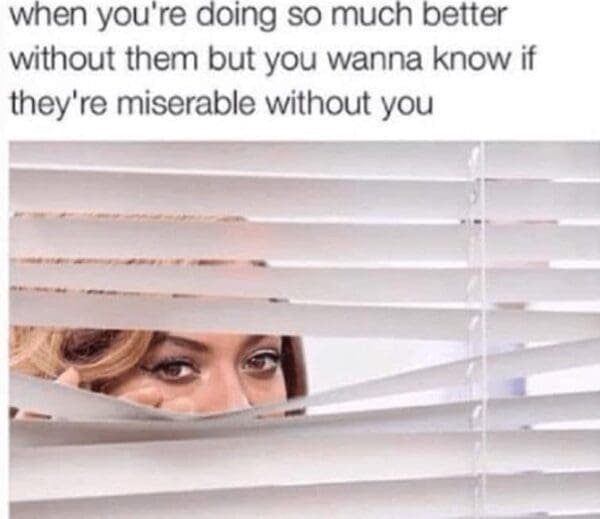 46 Hilarious Breakup Memes Every Heartbroken Woman Needs