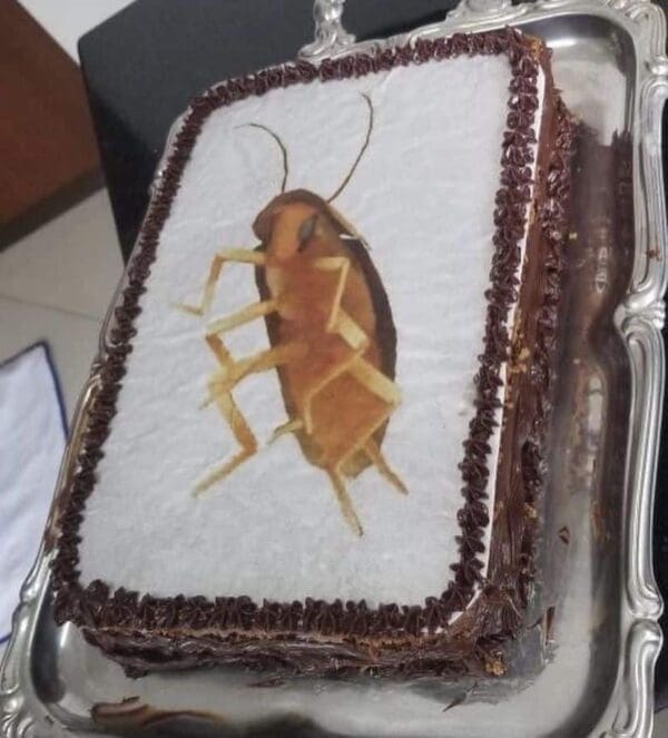 Cake Fails: 50 Bad Cakes and Funny Cakes For a Treat
