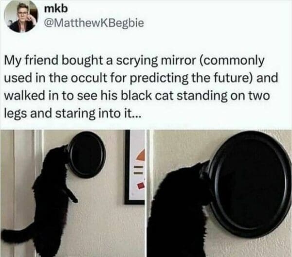 47 Dark Humor Memes For Folks Teetering on the Edge (of Laughter)