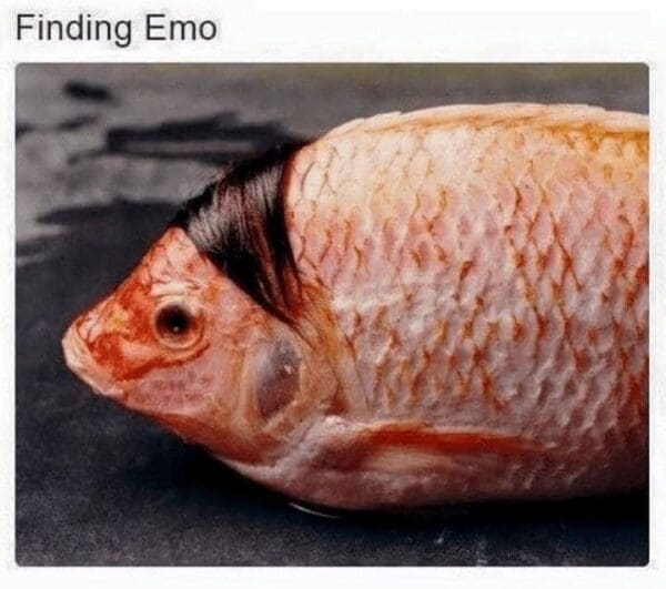 Emo Memes: 40 Memes About Black Clothes & Music