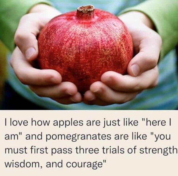 Fruit Memes: 40 Memes So Fresh They Still Have Stickers