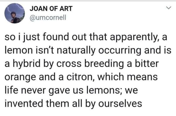 Fruit Memes: 40 Memes So Fresh They Still Have Stickers